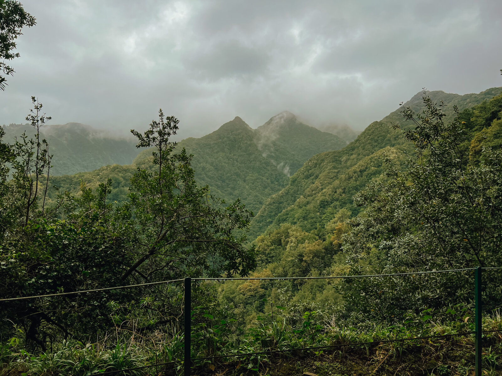 A complete guide to visiting Madeira - BEA ADVENTUROUS