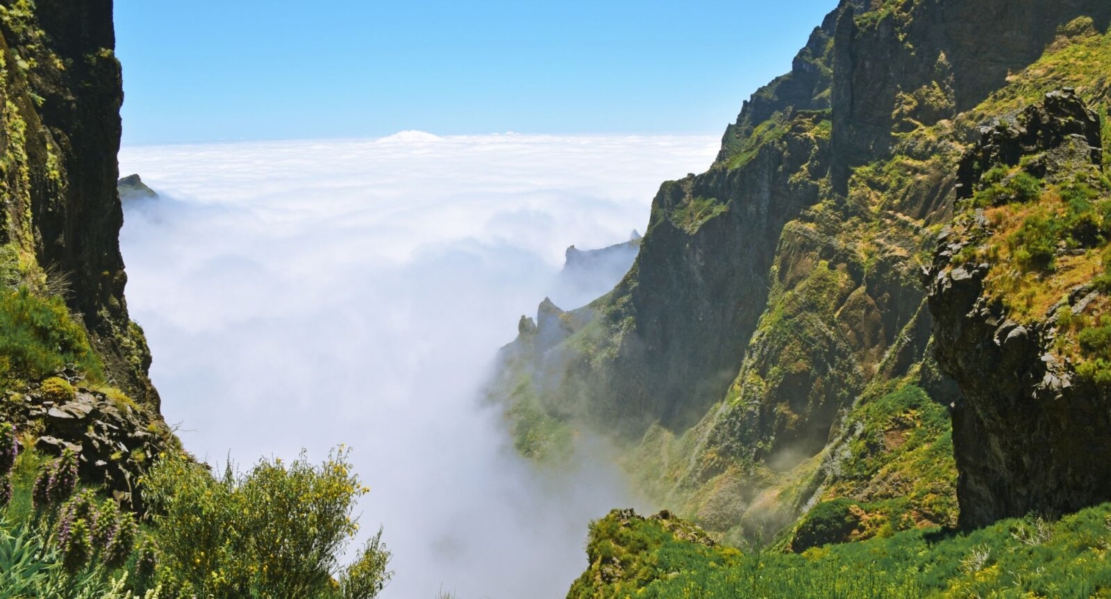 A complete guide to visiting Madeira - BEA ADVENTUROUS