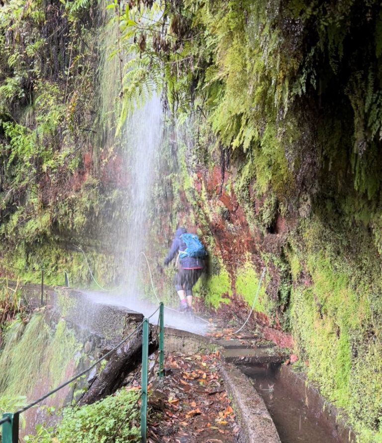 A complete guide to visiting Madeira - BEA ADVENTUROUS